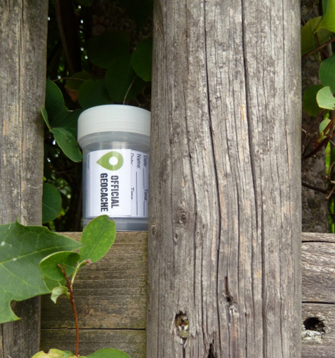 Discover the Thrill of Hiding Geocaches: A Guide for Beginners ...